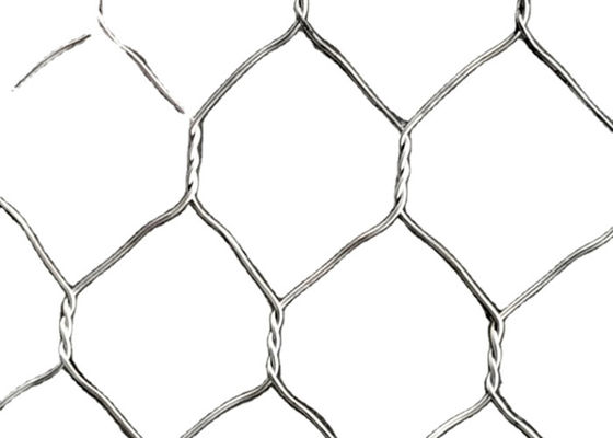 2mm Galvanized PVC Hexagonal Double Twisted Hexagonal Wire Mesh Protect ...